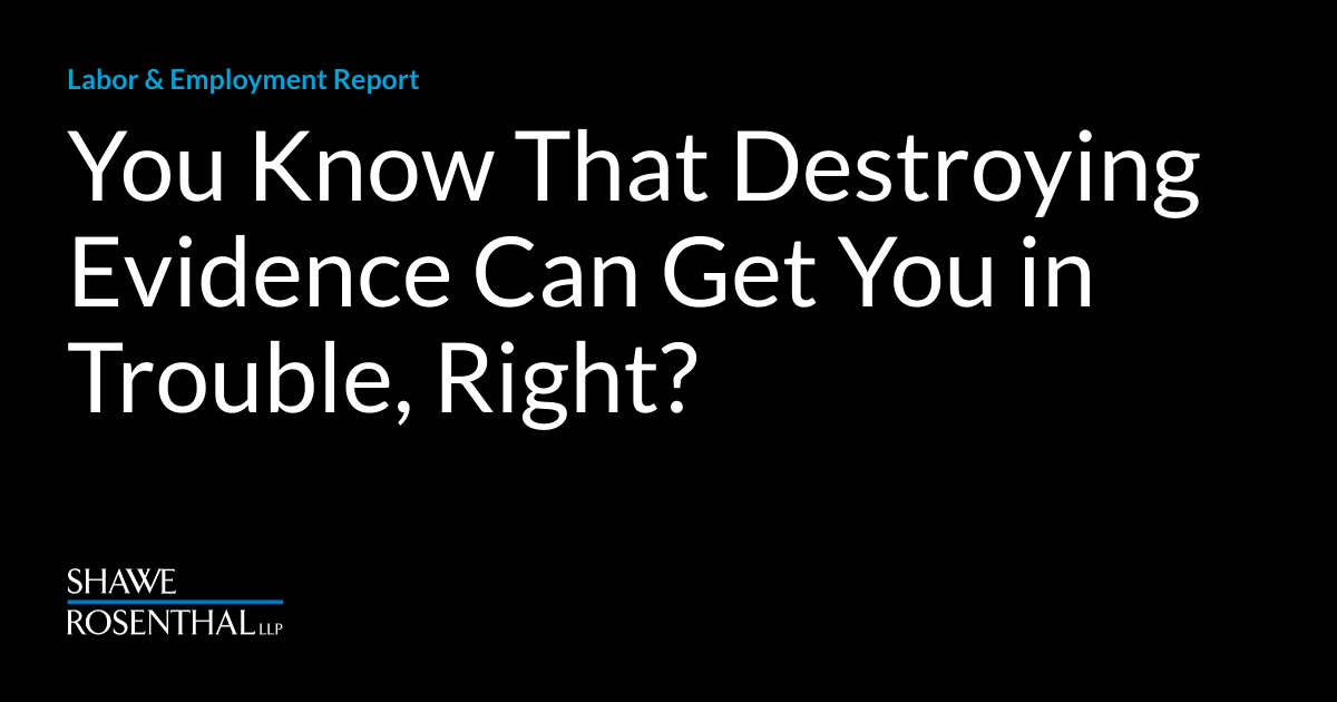 You Know That Destroying Evidence Can Get You in Trouble, Right ...