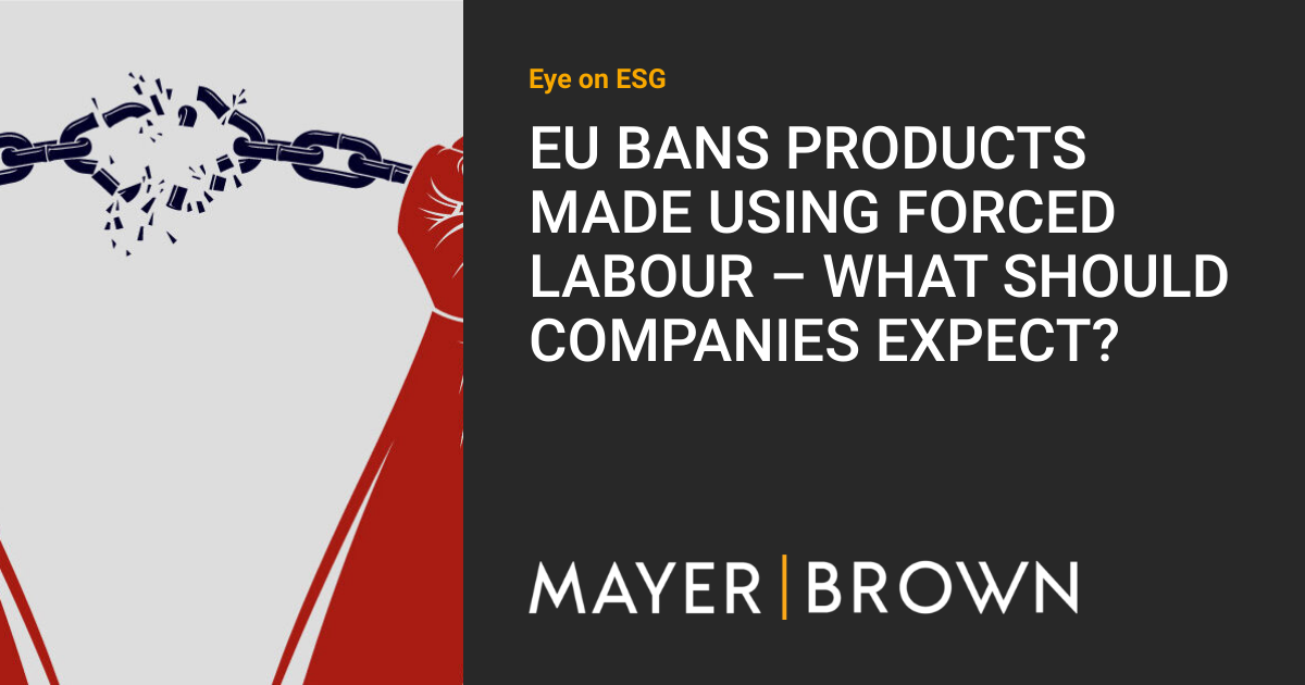 EU BANS PRODUCTS MADE USING FORCED LABOUR – WHAT SHOULD COMPANIES ...