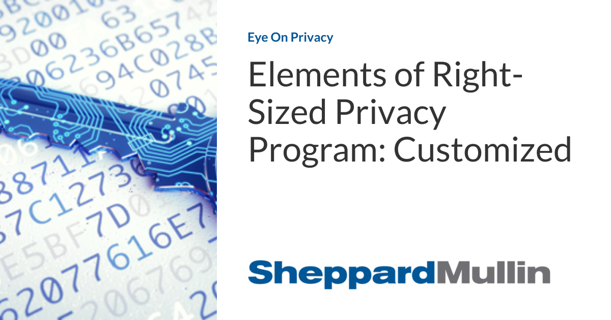 Elements of Right-Sized Privacy Program: Customized | Eye On Privacy