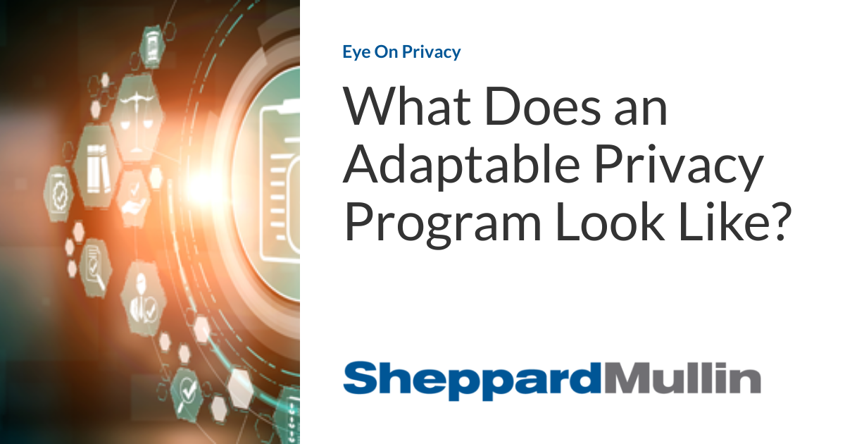 What Does an Adaptable Privacy Program Look Like? | Eye On Privacy