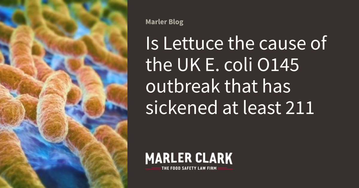 Is Lettuce the cause of the UK E. coli O145 outbreak that has sickened ...