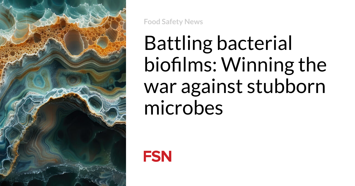 Battling bacterial biofilms: Winning the war against stubborn microbes ...