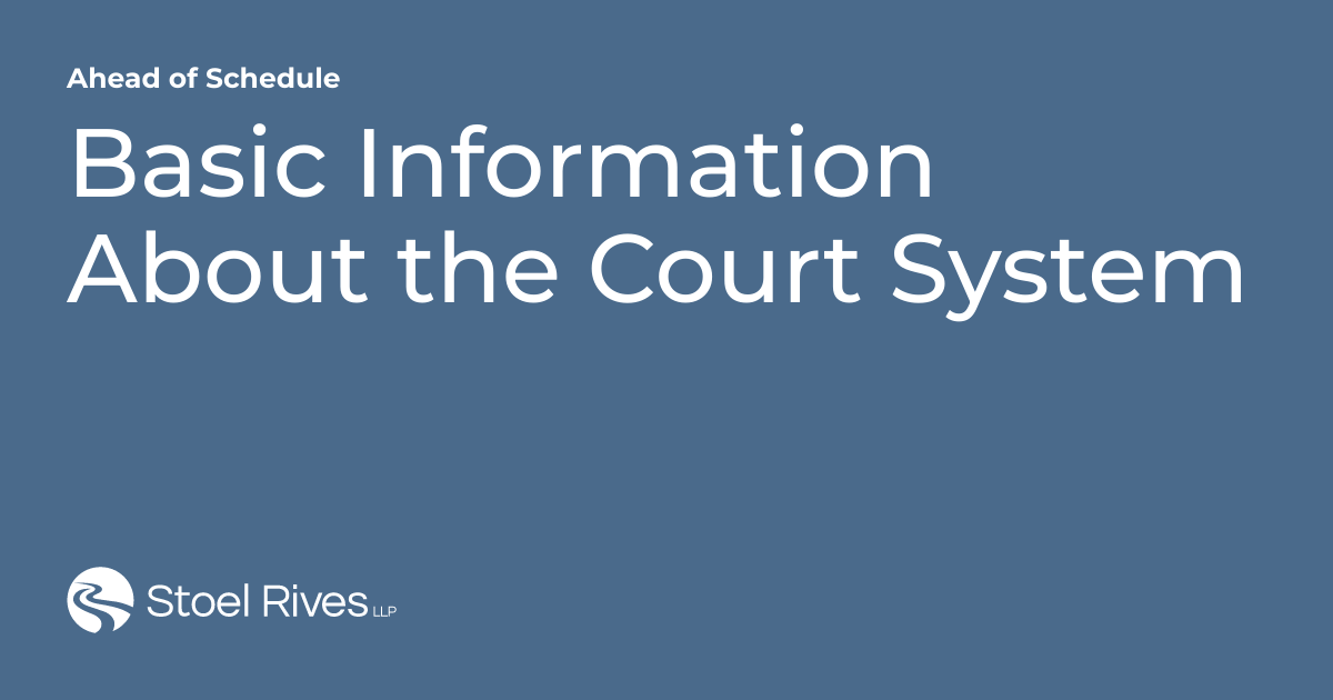 Basic Information About the Court System | Ahead of Schedule
