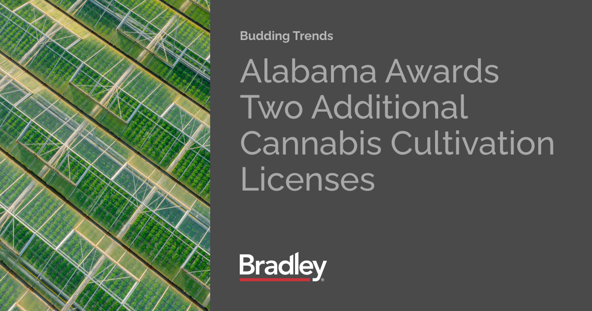 Alabama Awards Two Additional Cannabis Cultivation Licenses | Budding ...