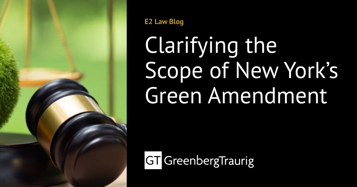 Clarifying the Scope of New York’s Green Amendment | E2 Law Blog