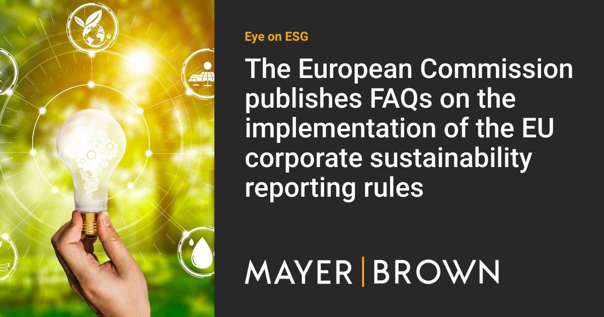 The European Commission publishes FAQs on the implementation of the EU corporate sustainability ...
