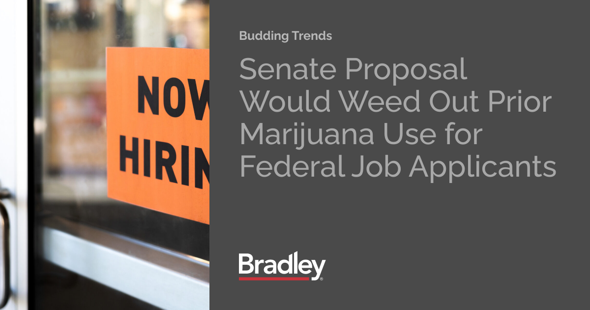 Senate Proposal Would Weed Out Prior Marijuana Use for Federal Job ...