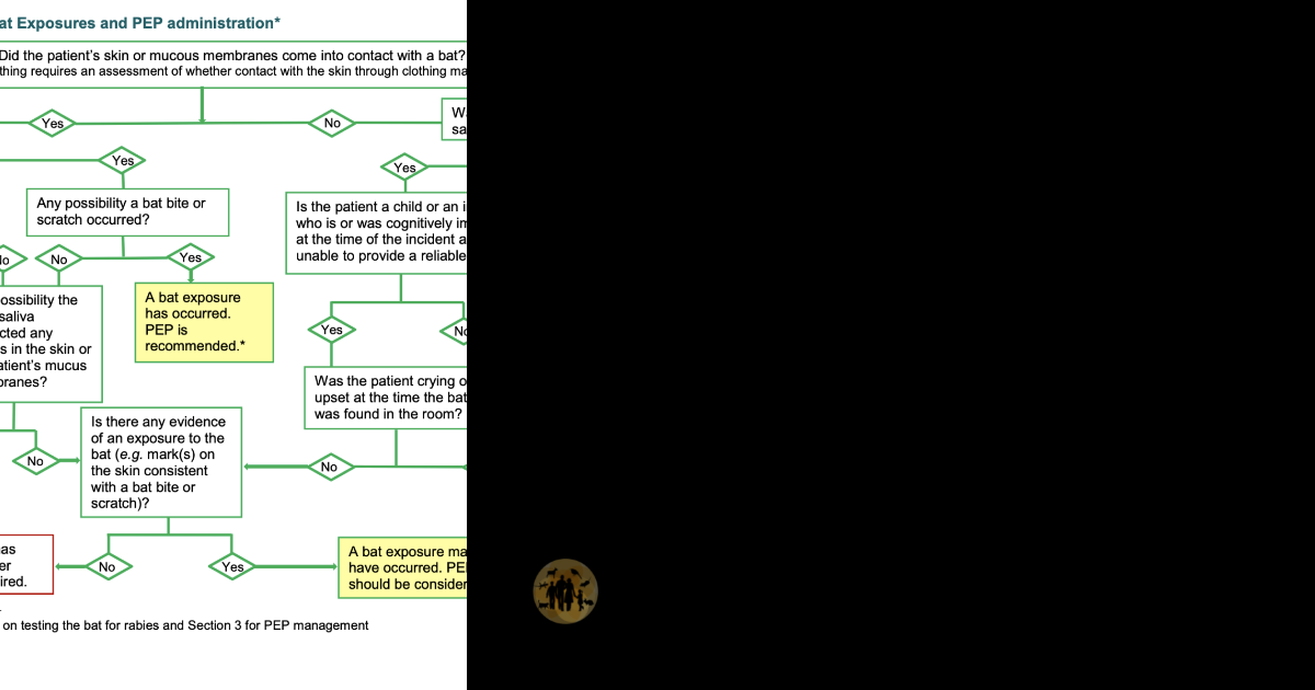 Bats and Rabies Risk Assessments | Worms & Germs Blog