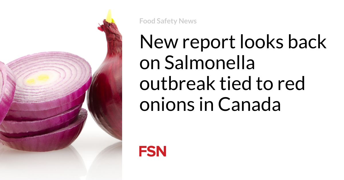 New report looks back on Salmonella outbreak tied to red onions in ...