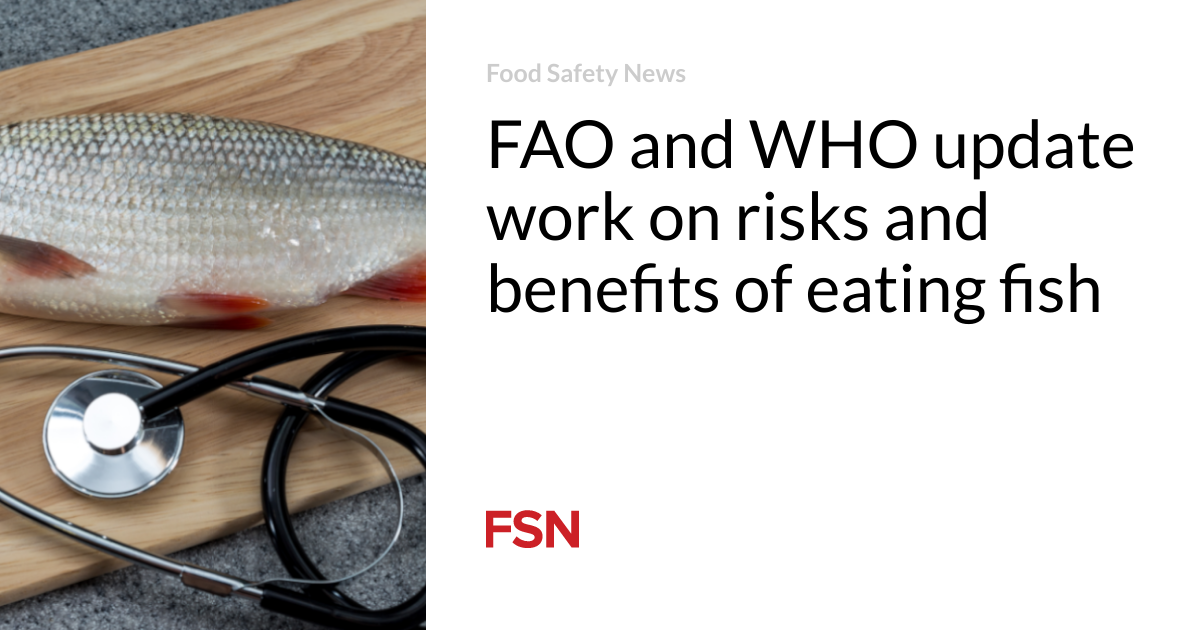 FAO and WHO update work on risks and benefits of eating fish | Food ...