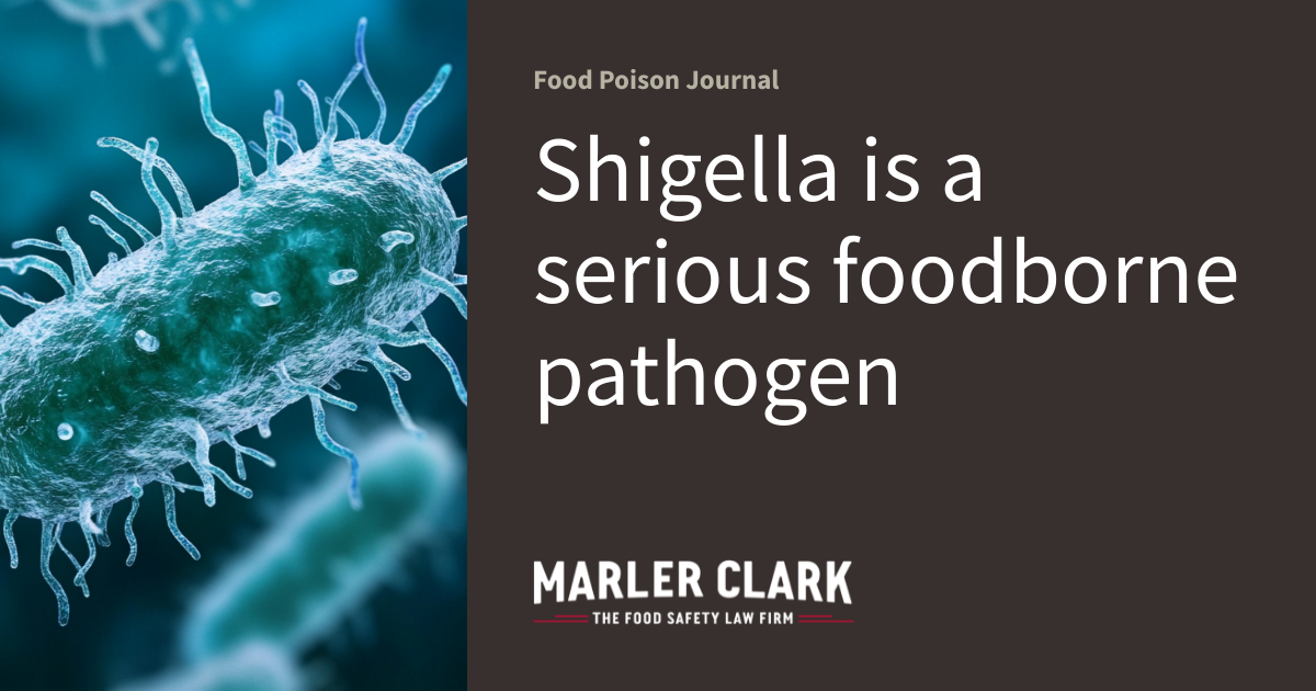 Shigella is a serious foodborne pathogen | Food Poison Journal
