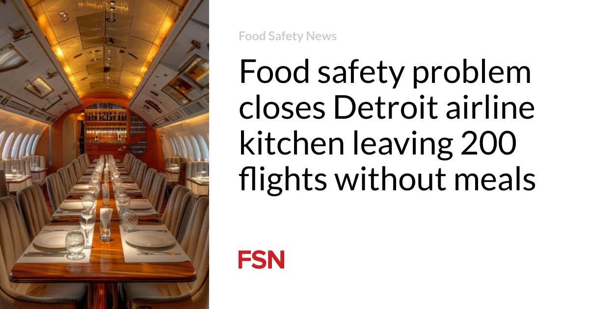 Food safety problem closes Detroit airline kitchen leaving 200 flights ...