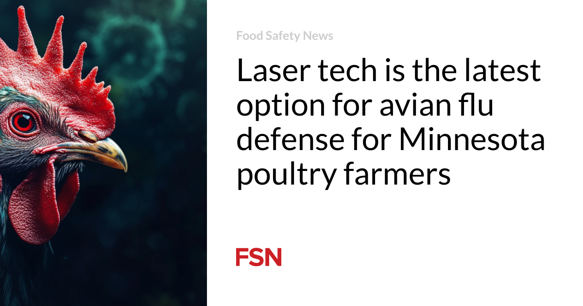 Laser tech is the latest option for avian flu defense for Minnesota ...