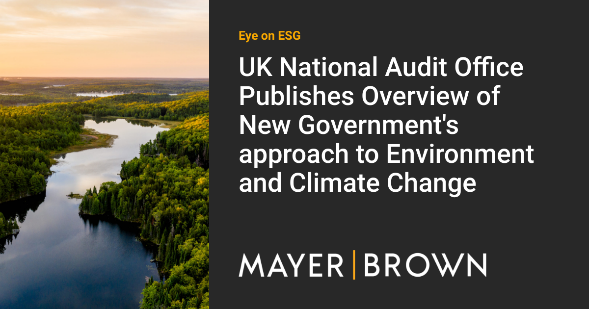 UK National Audit Office Publishes Overview of New Government's ...