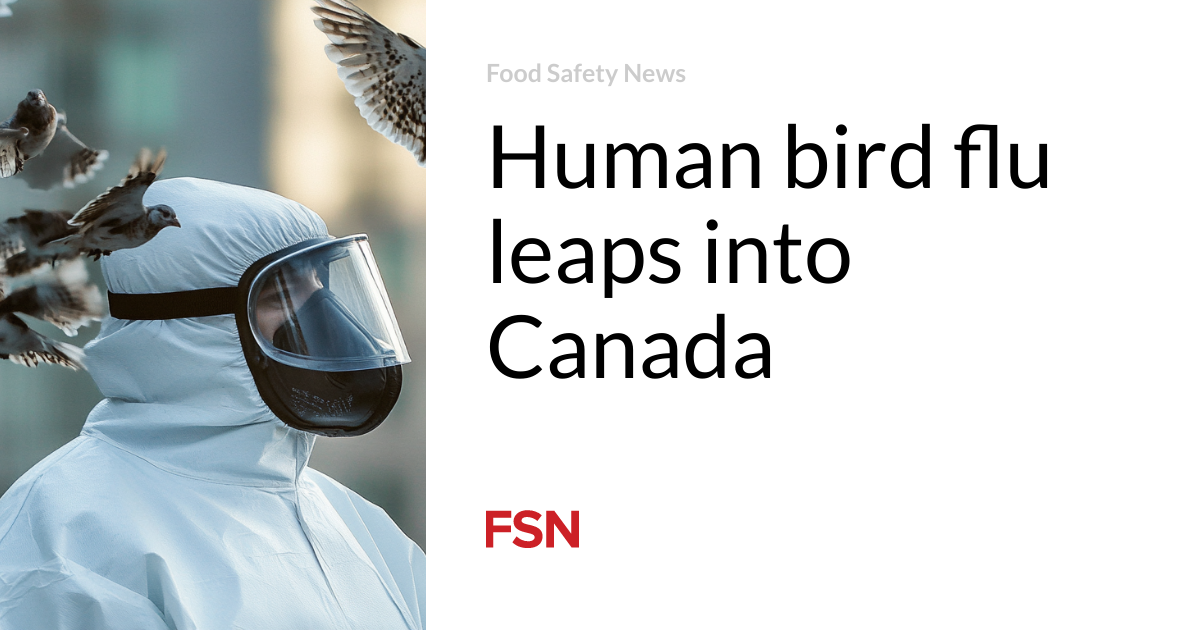 Human bird flu leaps into Canada | Food Safety News