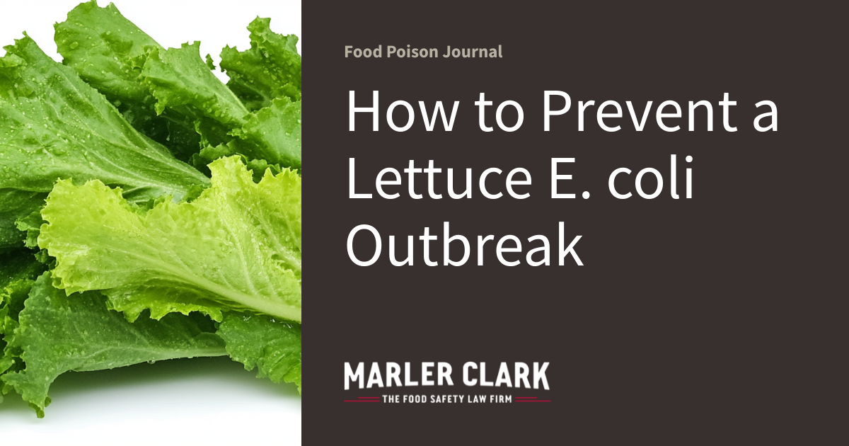 How to Prevent a Lettuce E. coli Outbreak | Food Poison Journal