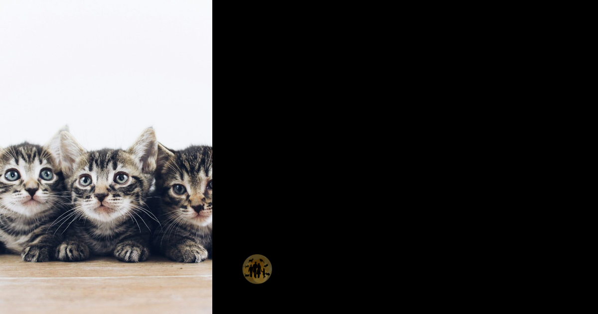 FIP Drug Access in Canada | Worms & Germs Blog