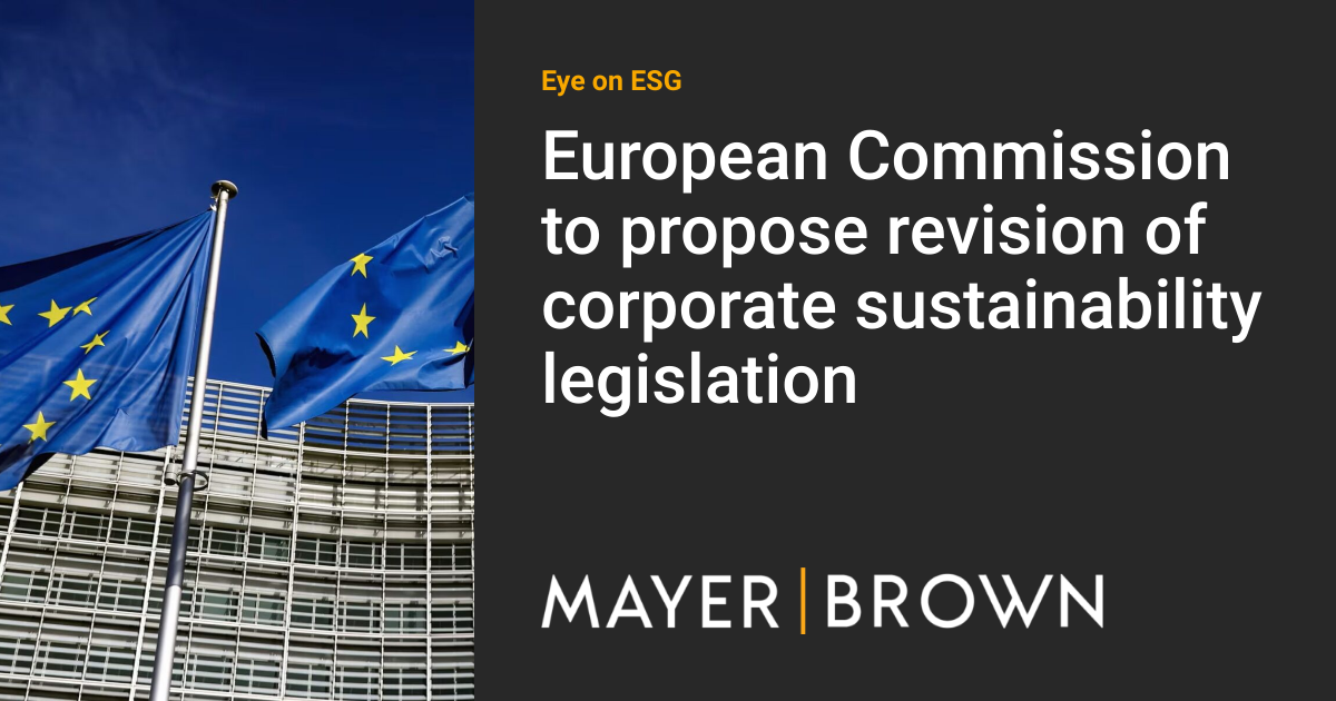 European Commission to propose revision of corporate sustainability ...