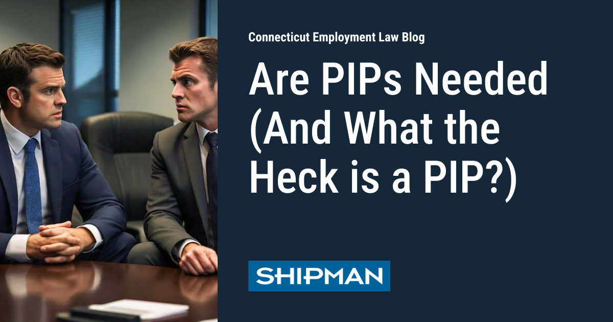 Are PIPs Needed (And What the Heck is a PIP?) | Connecticut Employment ...