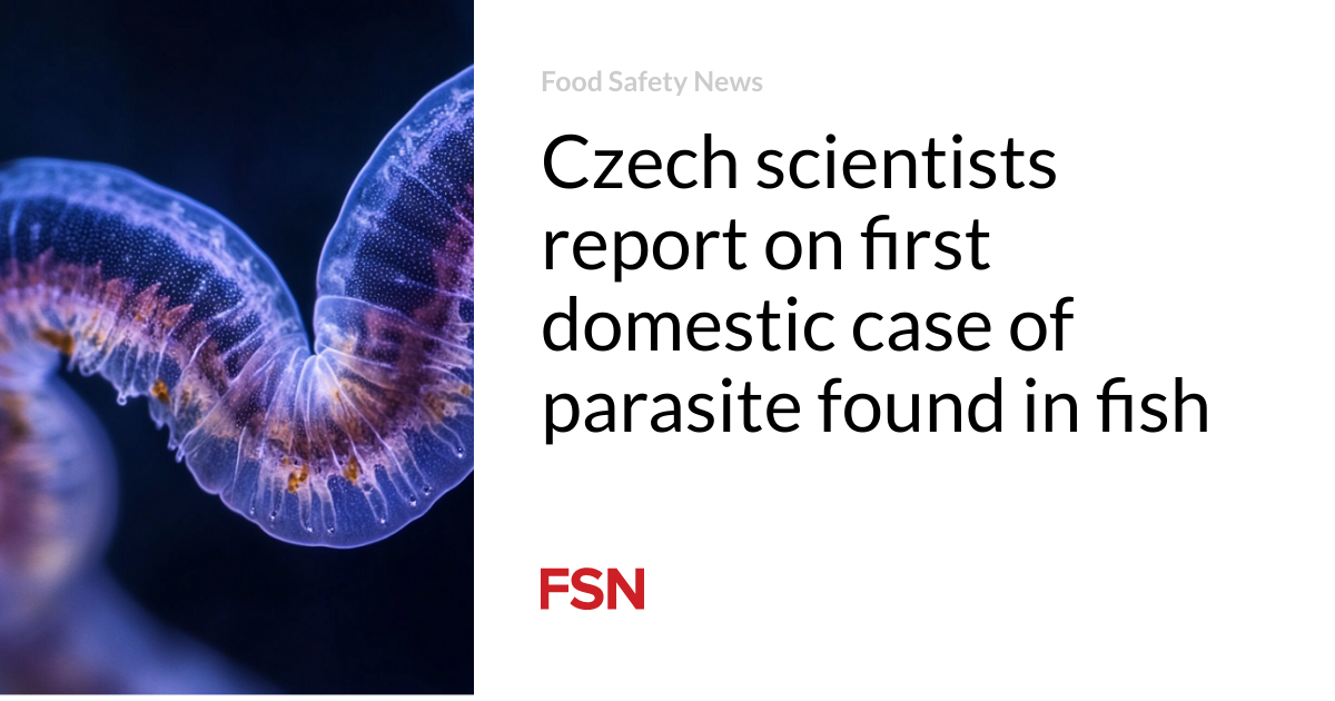Czech scientists report on first domestic case of parasite found in ...