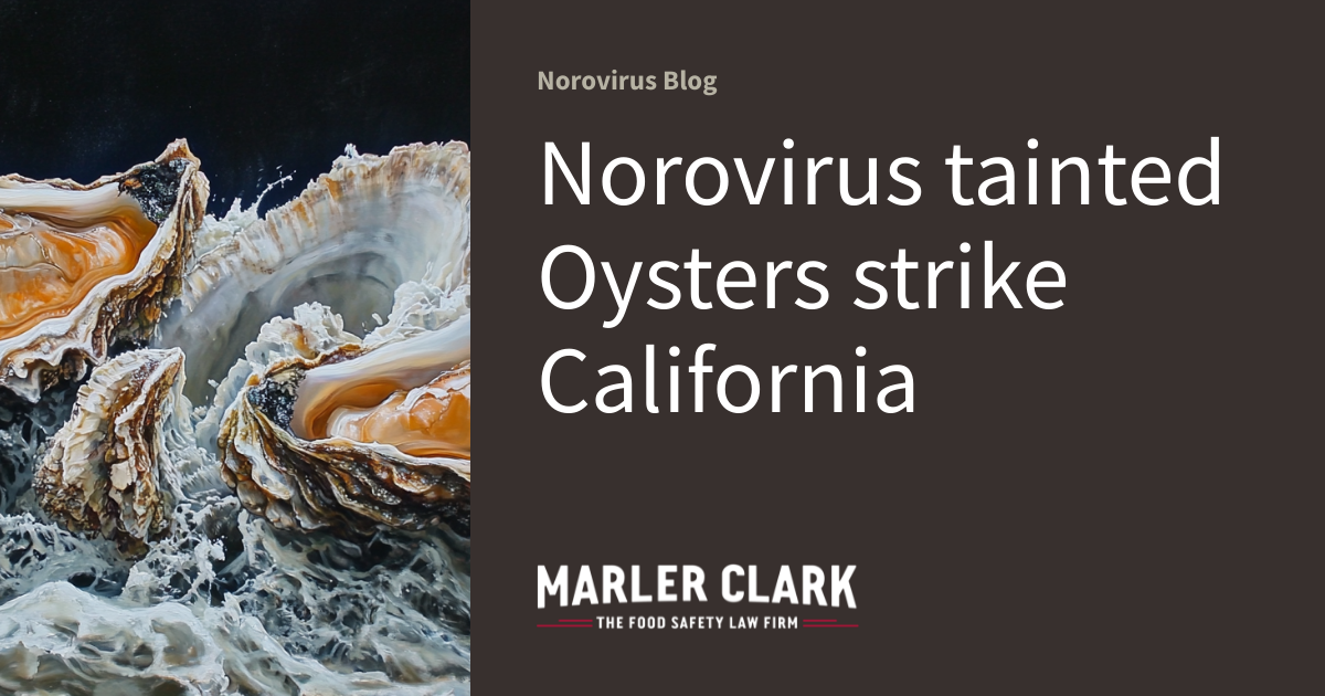 Norovirus tainted Oysters strike California | Norovirus Blog