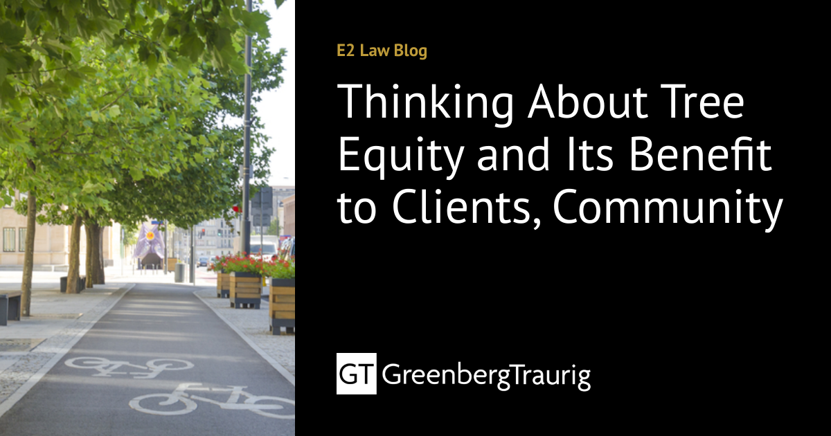 Thinking About Tree Equity and Its Benefit to Clients, Community | E2 ...