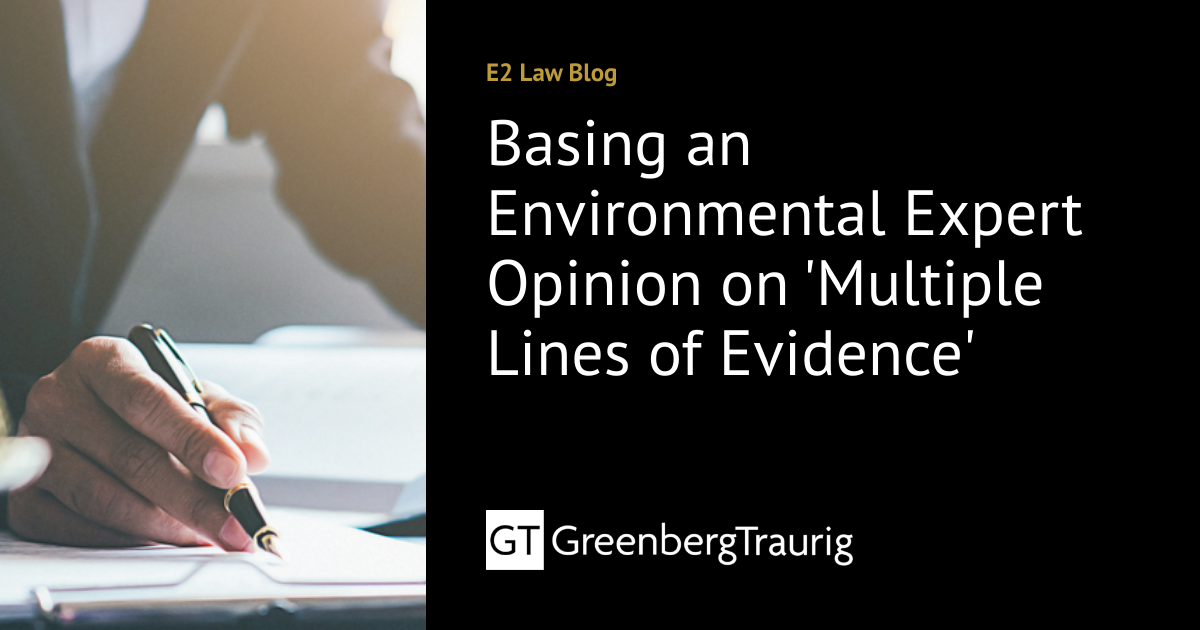 Basing an Environmental Expert Opinion on 'Multiple Lines of Evidence ...