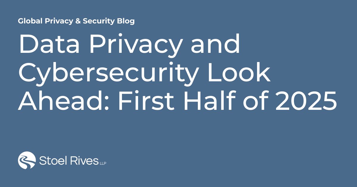 Data Privacy and Cybersecurity Look Ahead: First Half of 2025 | Global ...
