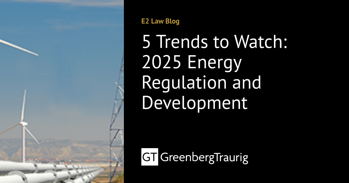 5 Trends to Watch: 2025 Energy Regulation and Development | E2 Law Blog