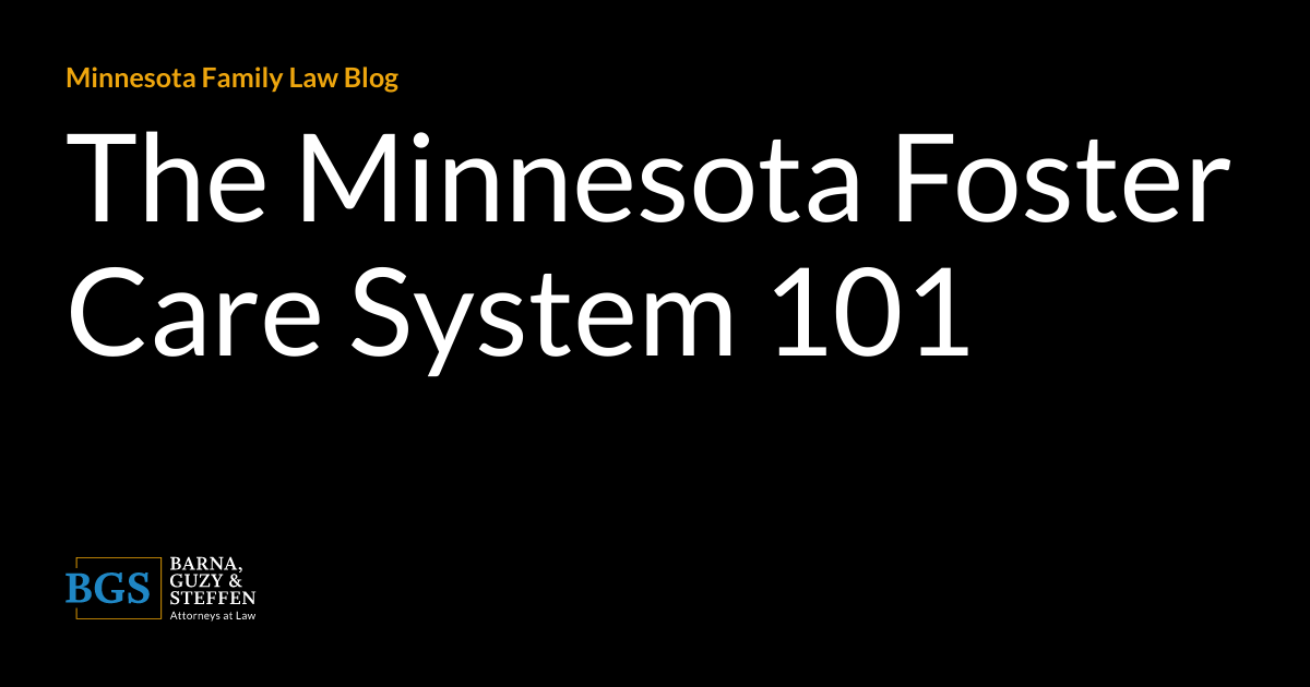 The Minnesota Foster Care System 101