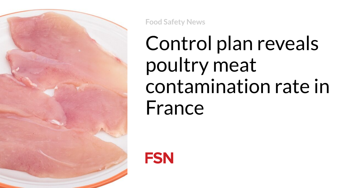 Control plan reveals poultry meat contamination rate in France | Food ...