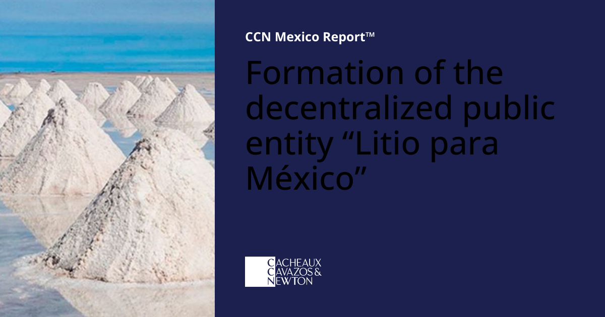 Formation of the decentralized public entity “Litio para México” | CCN ...
