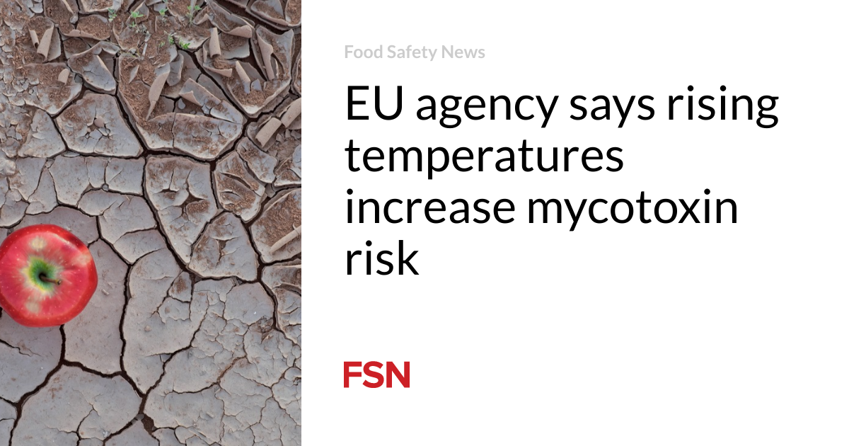 EU agency says rising temperatures increase mycotoxin risk | Food ...