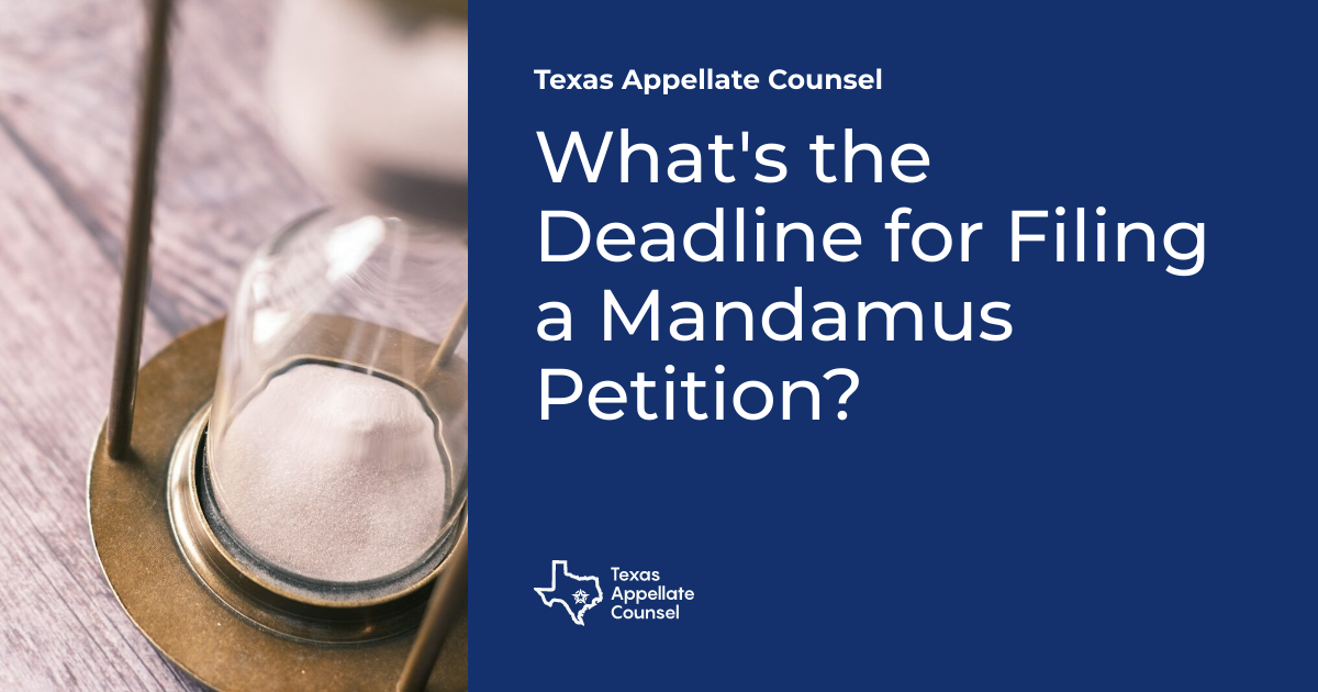 What Is the Deadline for Filing a Mandamus Petition? | Smith Law Group