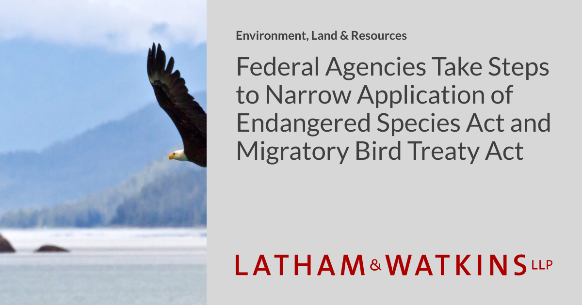 Federal Agencies Take Steps to Narrow Application of Endangered Species ...