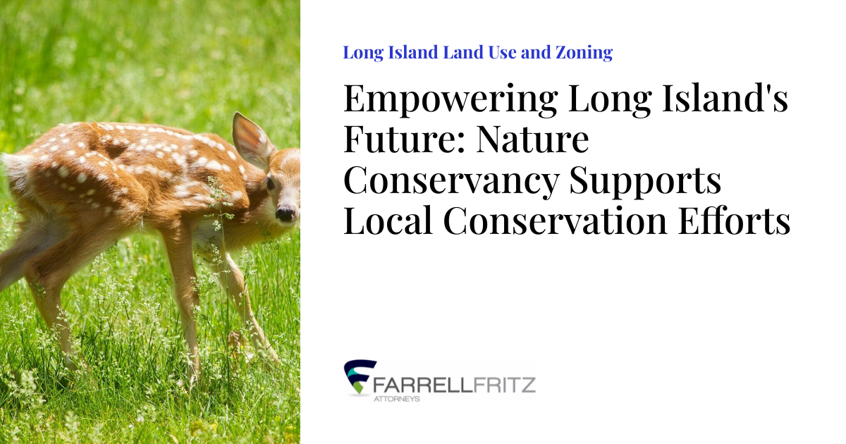 Empowering Long Island's Future: Nature Conservancy Supports Local ...