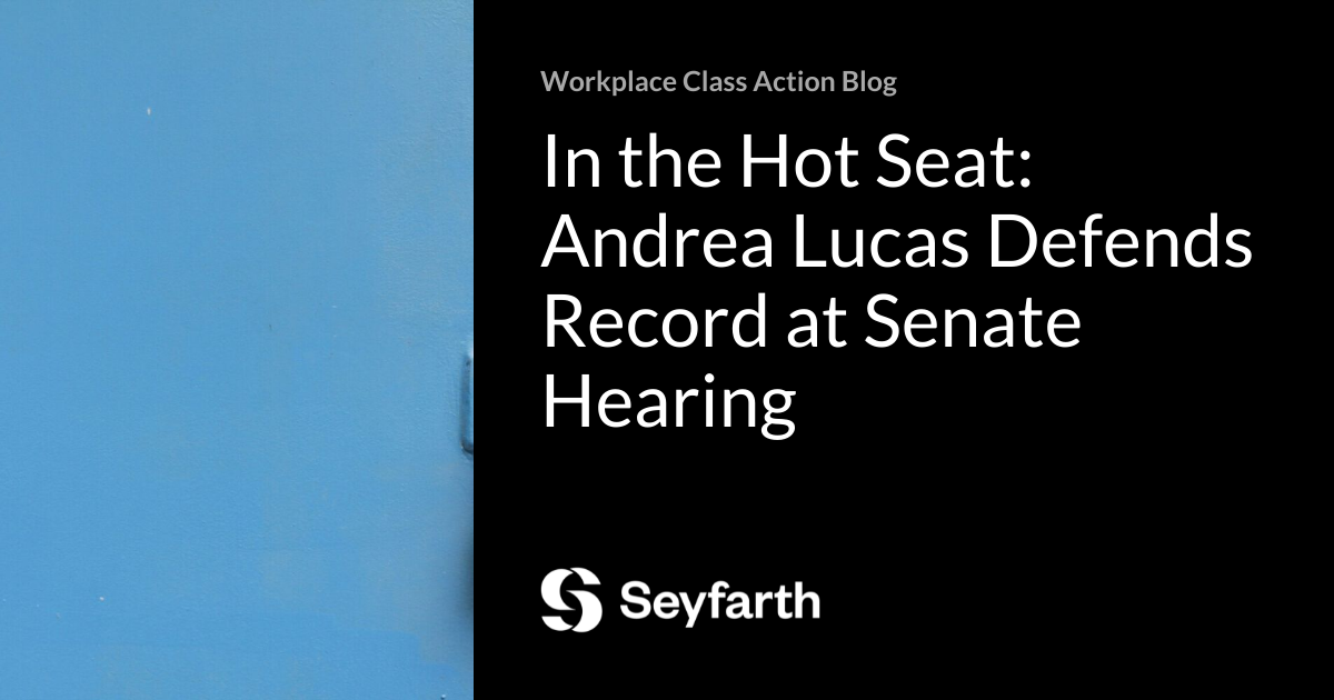 In the Hot Seat: Andrea Lucas Defends Record at Senate Hearing ...