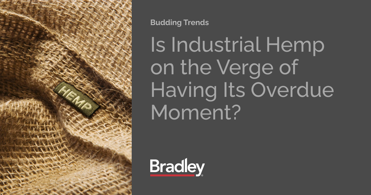 Is Industrial Hemp on the Verge of Having Its Overdue Moment? | Budding ...