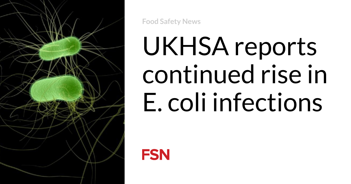 UKHSA reports continued rise in E. coli infections | Food Safety News