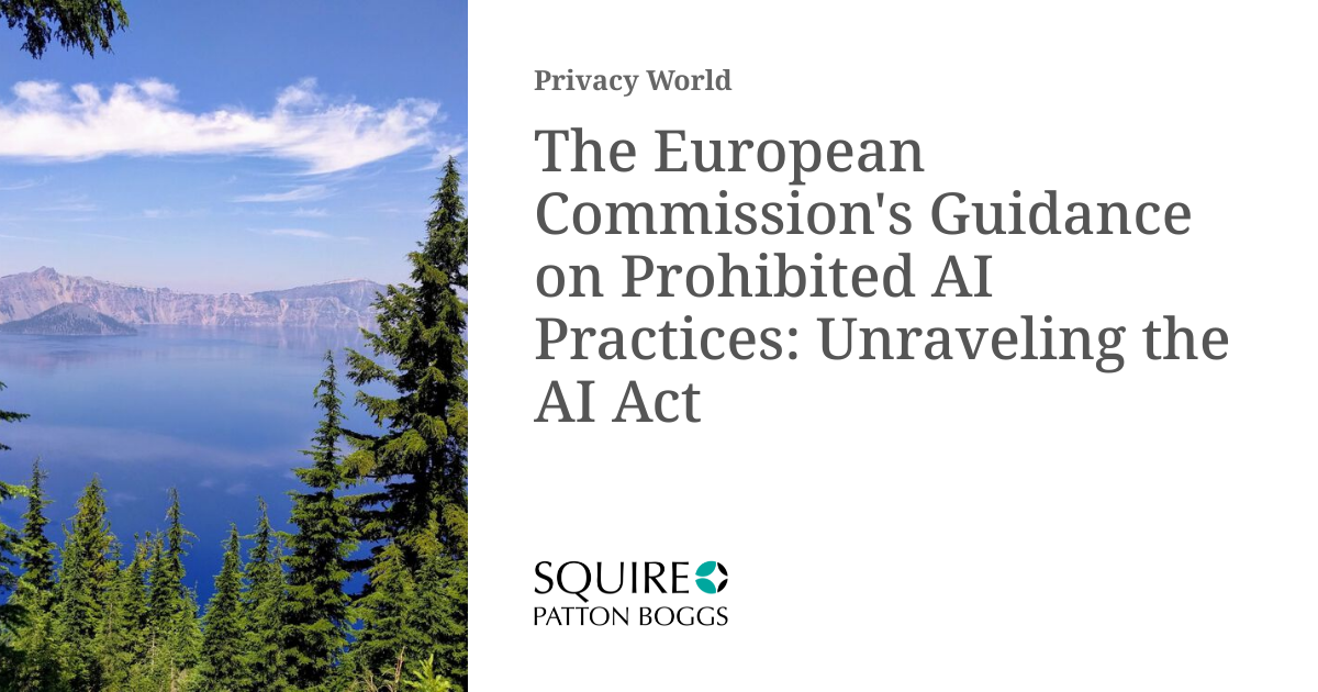 The European Commission's Guidance on Prohibited AI Practices ...