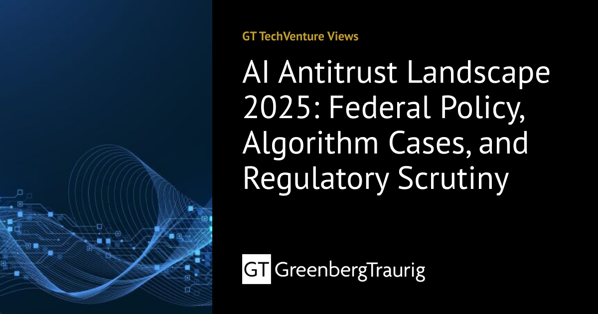 AI Antitrust Landscape 2025: Federal Policy, Algorithm Cases, and ...