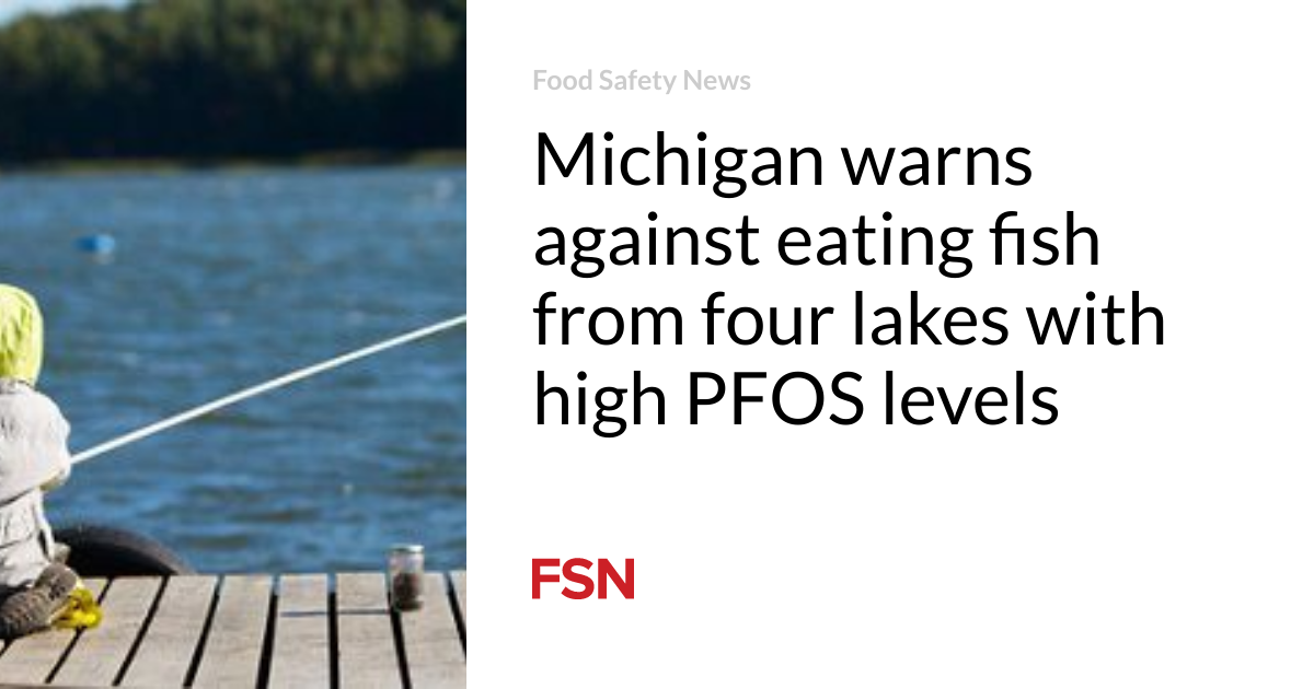 Michigan warns against eating fish from four lakes with high PFOS ...