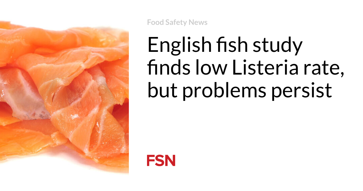 English fish study finds low Listeria rate, but problems persist | Food ...