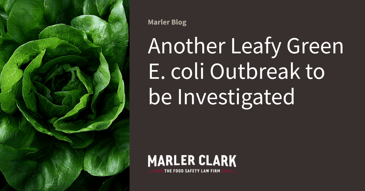 Another Leafy Green E. coli Outbreak to be Investigated | Marler Blog