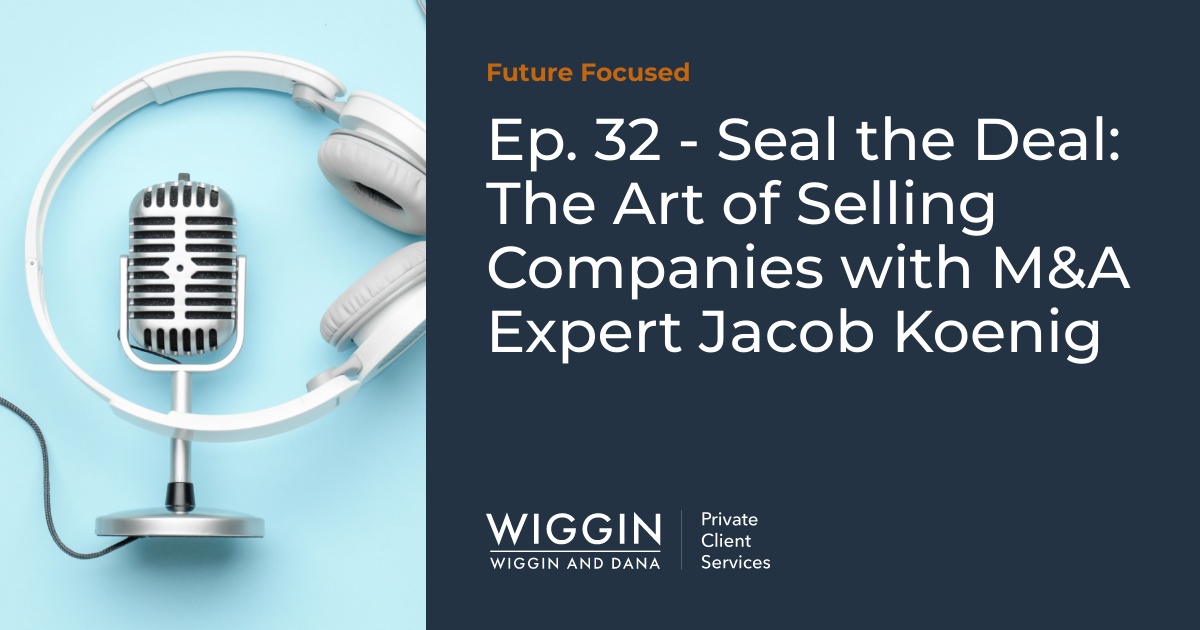 Ep. 32 - Seal the Deal: The Art of Selling Companies with M&A Expert ...