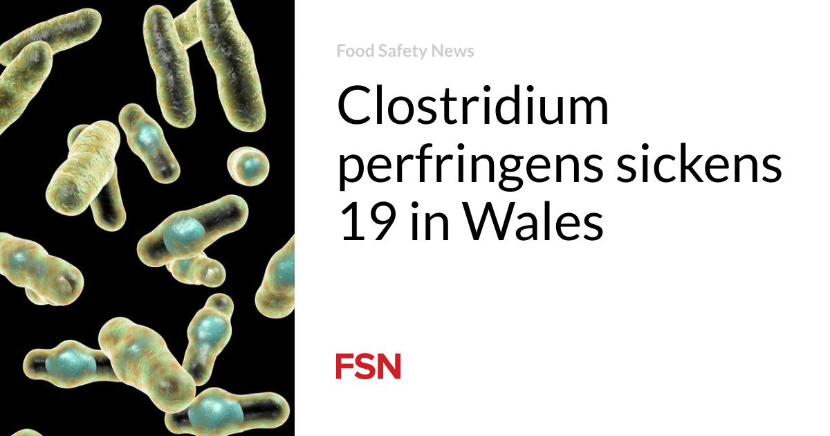 Clostridium perfringens sickens 19 in Wales | Food Safety News