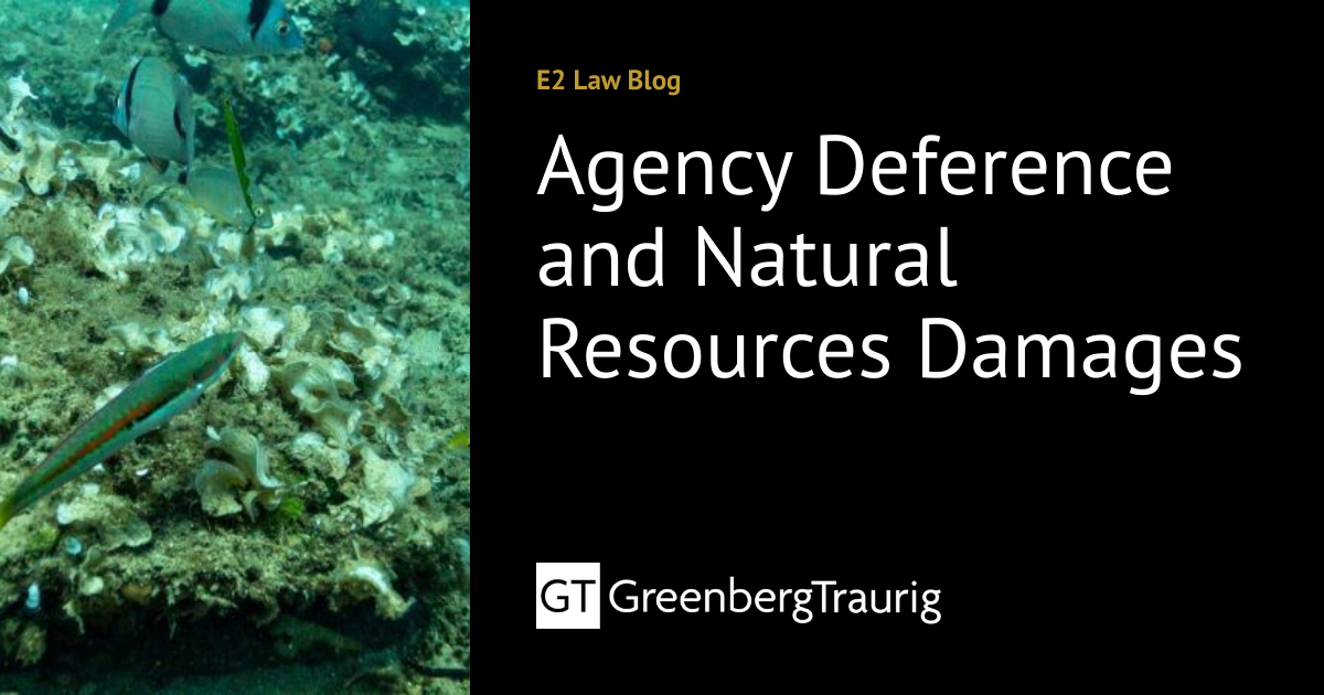 Agency Deference and Natural Resources Damages | E2 Law Blog