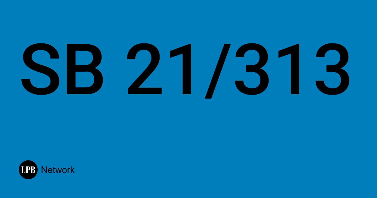 SB 21/313 | Business Law Prof Blog