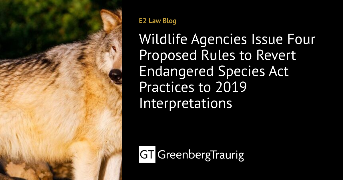 Wildlife Agencies Issue Four Proposed Rules to Revert Endangered ...