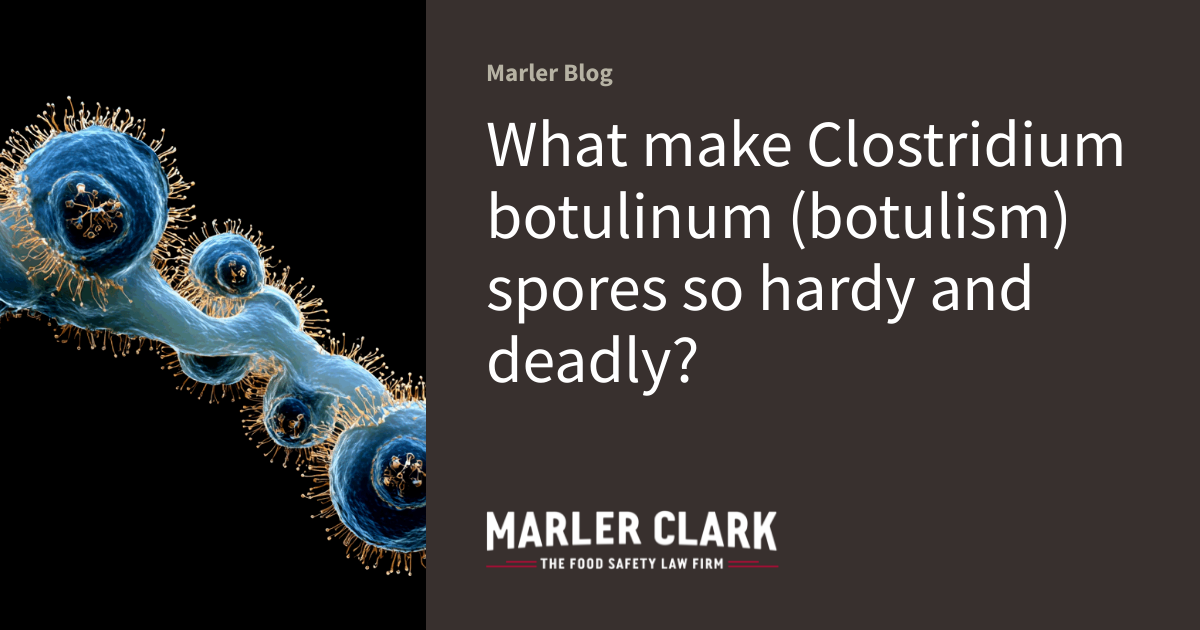 What make Clostridium botulinum (botulism) spores so hardy and deadly ...